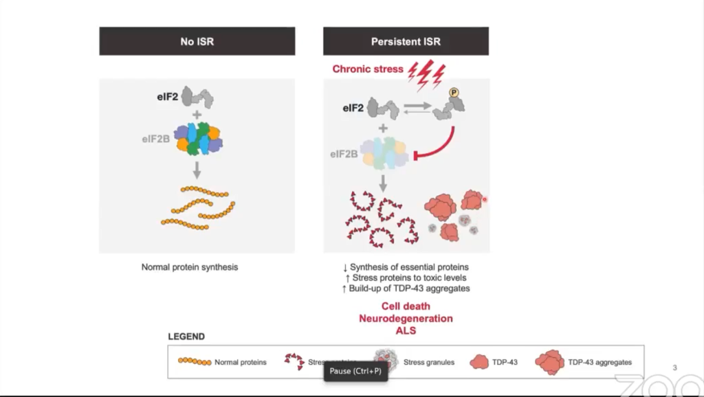 ABBV-CLS-7262 - Hi vọng mới trong điều trị bệnh xơ cứng cột bên teo cơ (ALS)